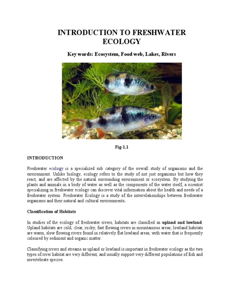 Introduction To Freshwater Ecology: Key Words: Ecosystem, Food Web ...