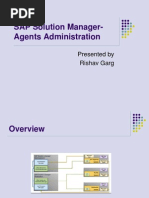 DAA Agent - SOLMAN | PDF | Login | File Transfer Protocol
