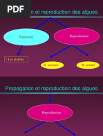 Chevauchement et Nappe de Charriage | PDF | Géologie structurale | Géologie