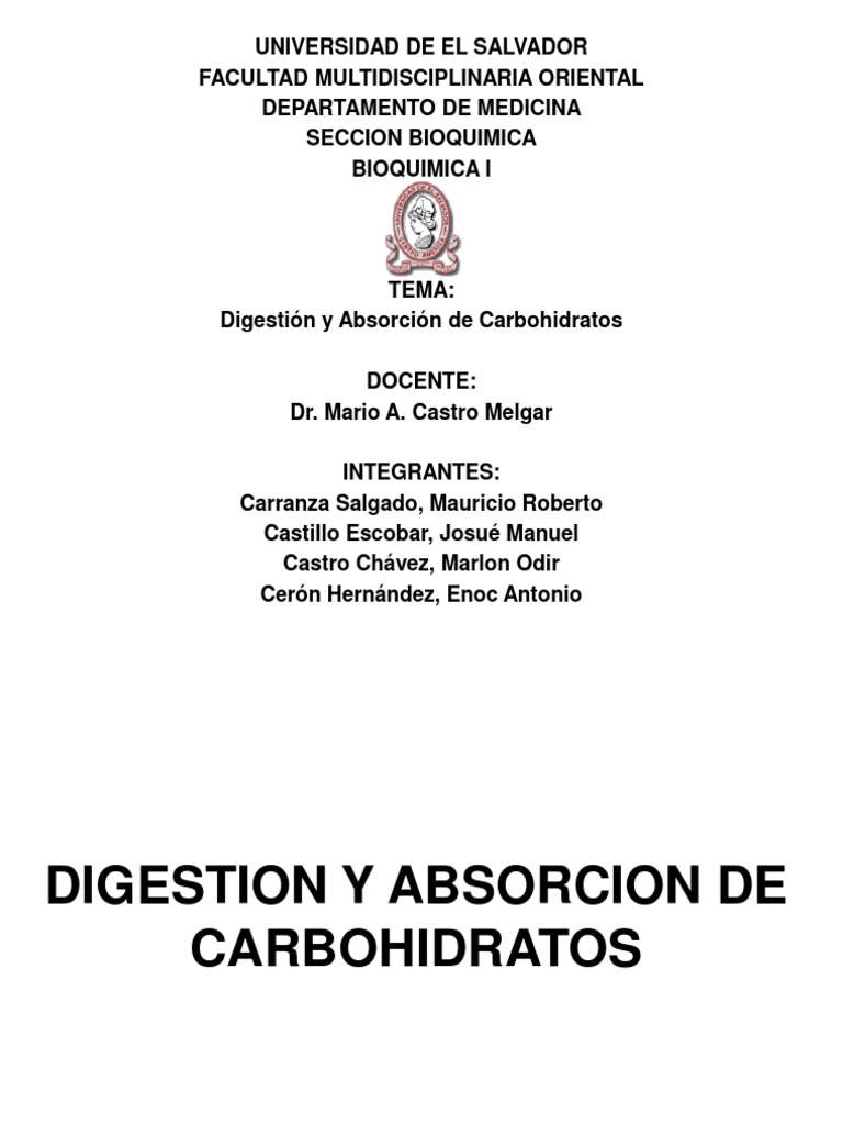 Digestión y Absorción de Carbohidratos | PDF | Carbohidratos | Química ...