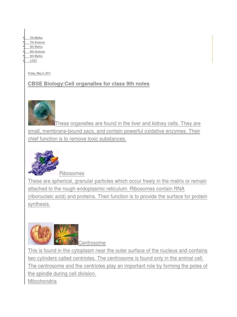 CBSE Biology:Cell Organalles For Class 9th Notes: 7th Maths 7th Science ...