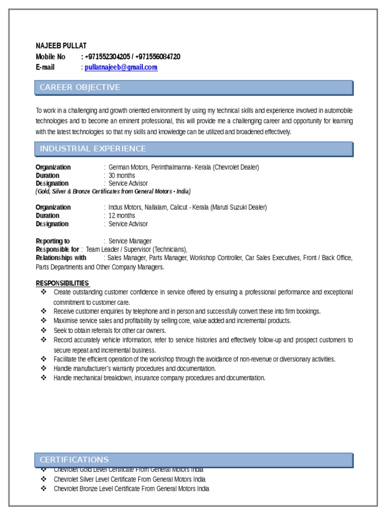 Najeeb CV | PDF | General Motors | Car