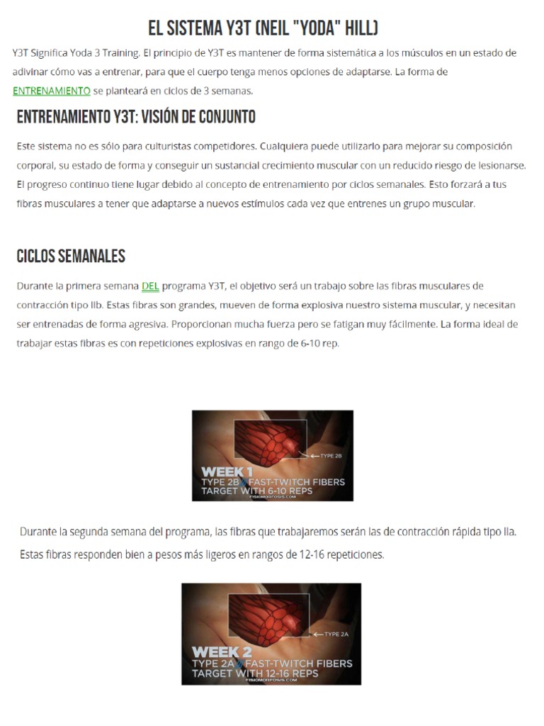 Sistema de Entrenamiento Y3t | PDF
