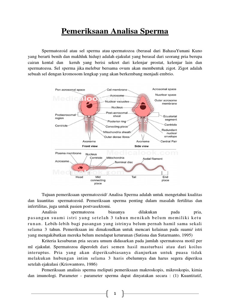 Pemeriksaan Analisa Sperma | PDF
