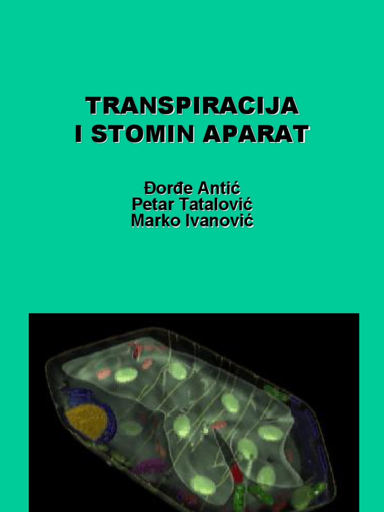 Transpiracija I Stomin Aparat | PDF