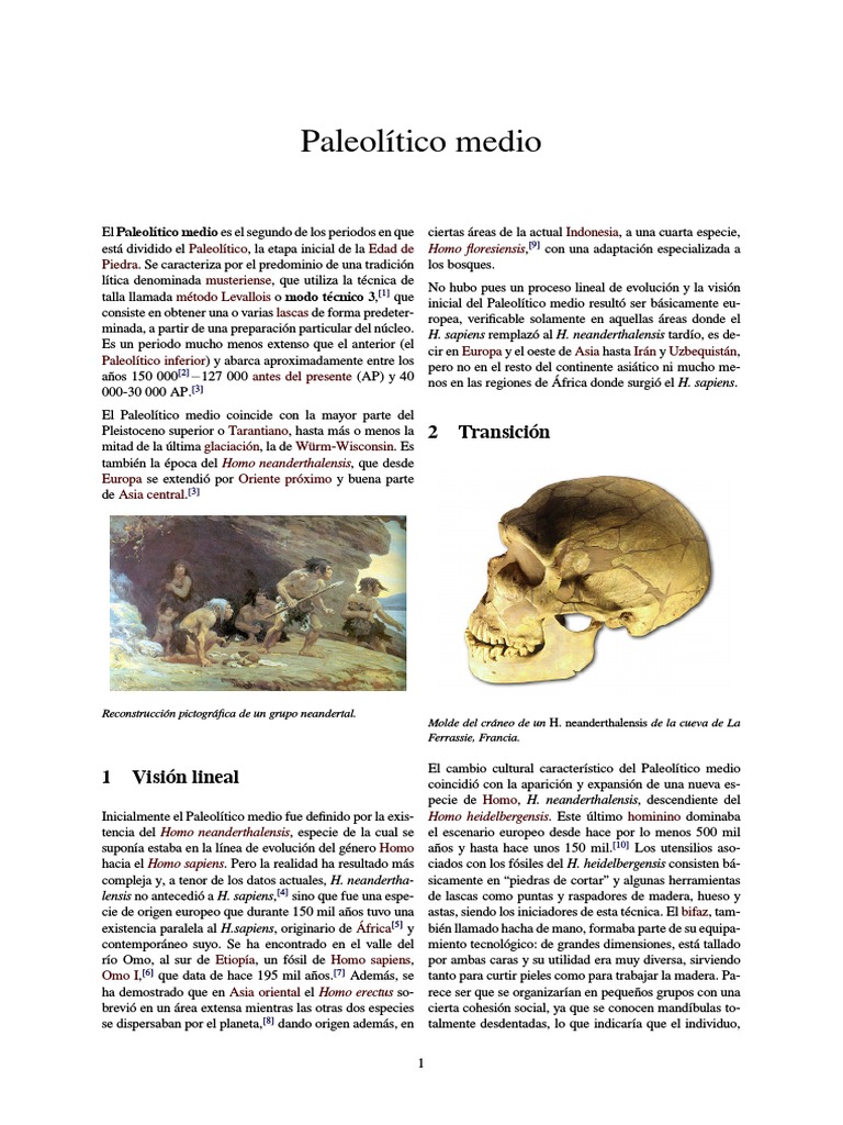 Paleolítico Medio | Paleolítico | pleistoceno