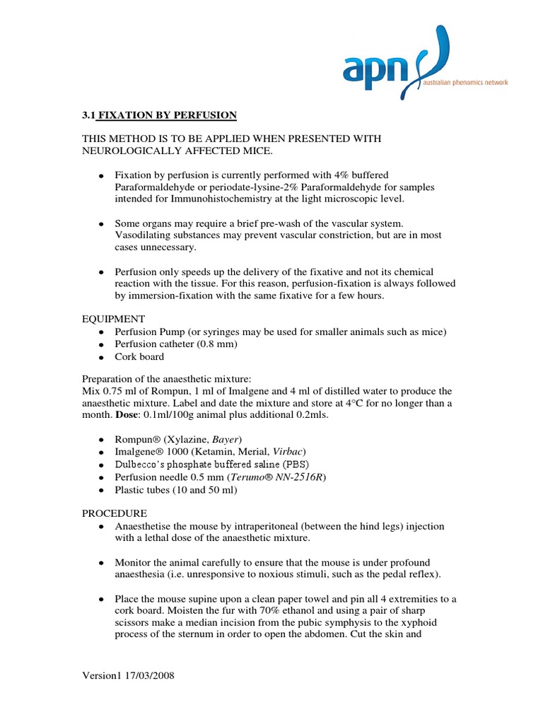 3.1 Fixation by Perfusion | PDF | Fixation (Histology) | Thorax