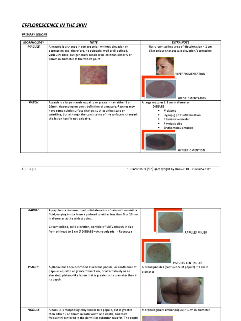 Efflorescence in The Skin | Download Free PDF | Cutaneous Conditions | Scar