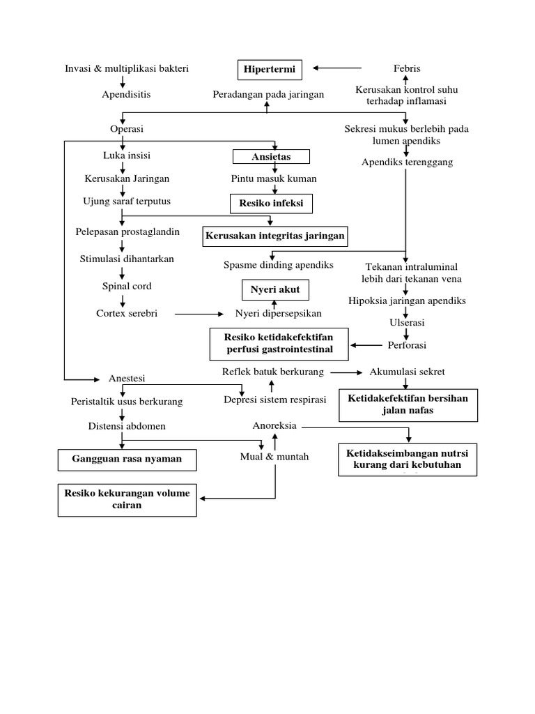 Pathway Apendisitis | PDF