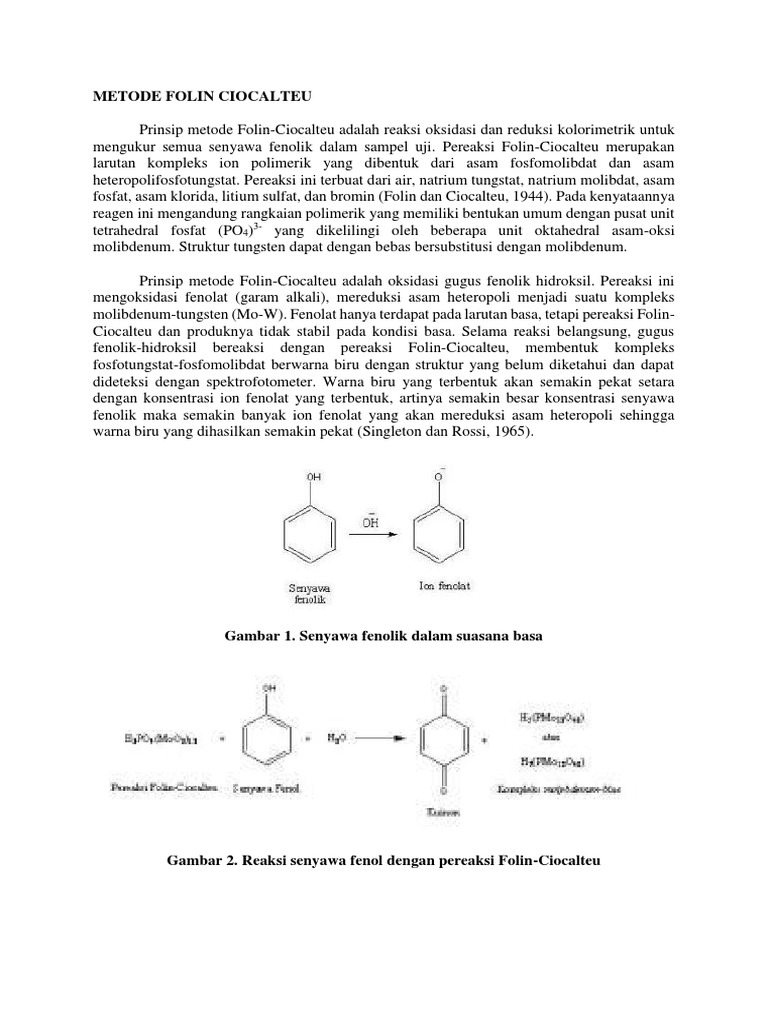 Metode Folin Ciocalteu | PDF