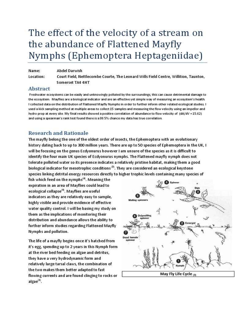Biology A2 Coursework Edexcel | PDF | Ecology | Conservation
