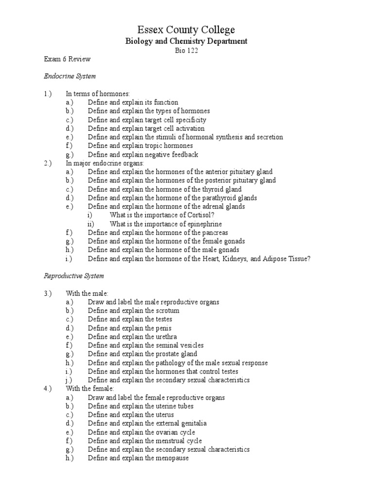 Endocrine and Reproductive Systems Review | PDF