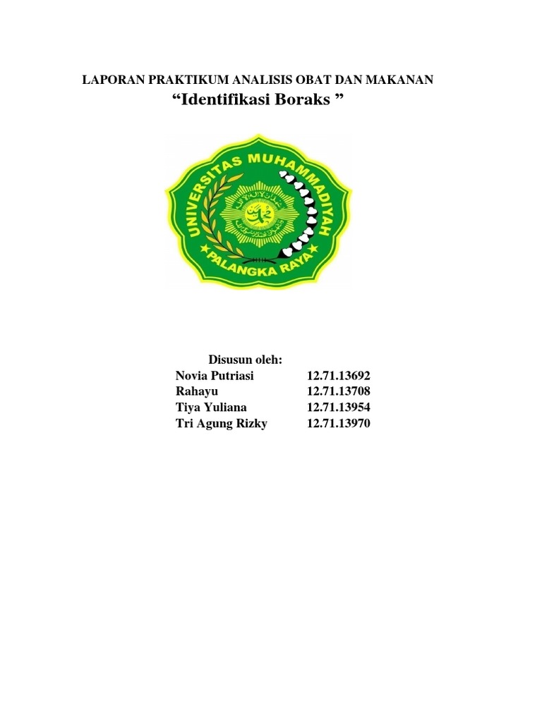 Identifikasi Boraks Pdf 