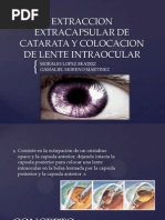 Catalogo Del Instrumental Quirúrgico de Oftalmología | PDF | Ojo ...