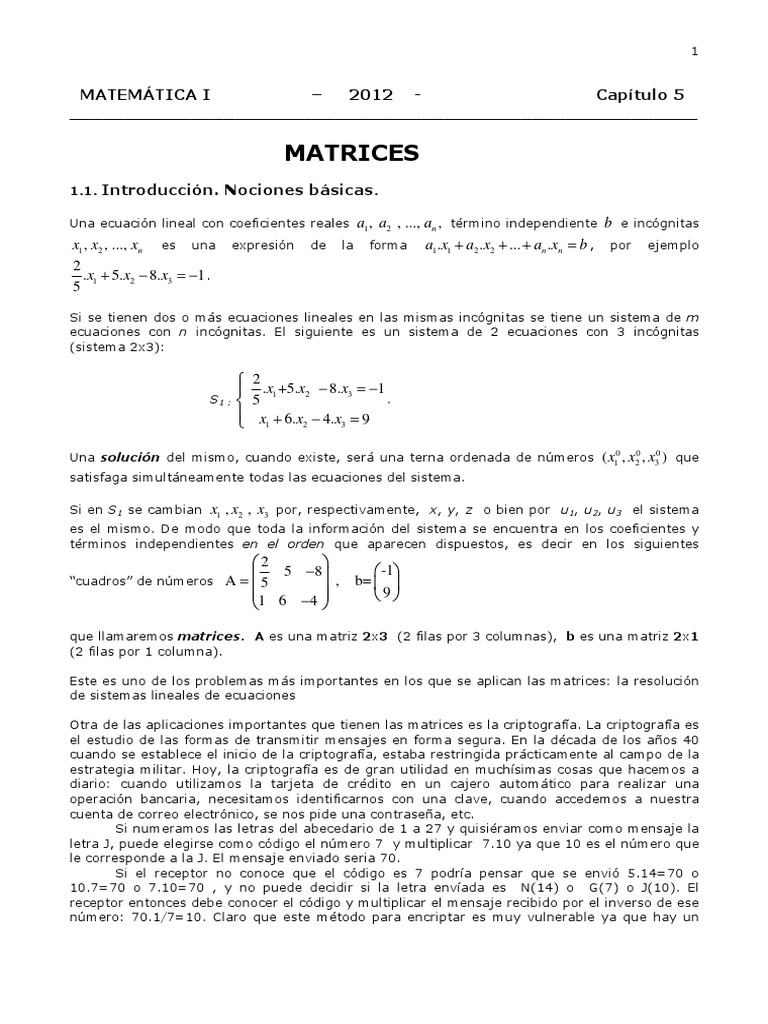 Matrices | PDF | Criptografía | Matriz (Matemáticas)