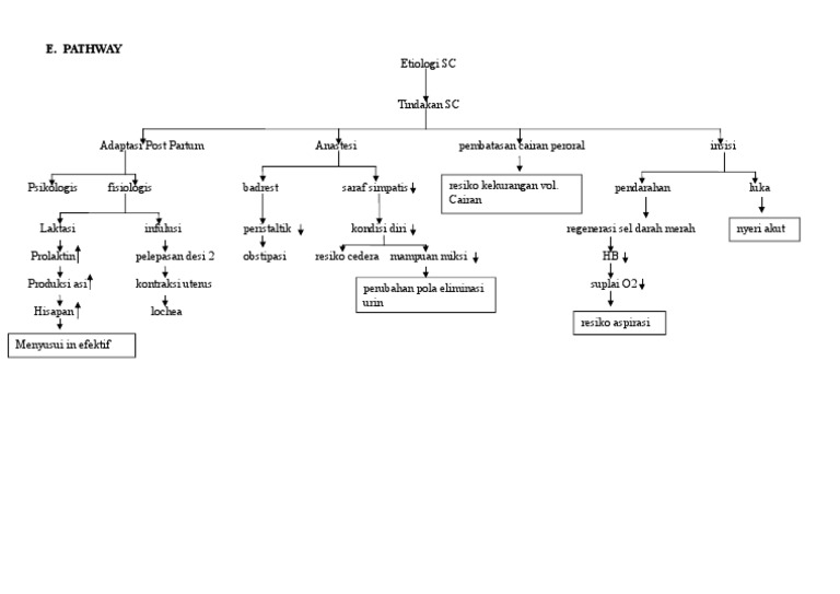 Pathway Post SC | PDF