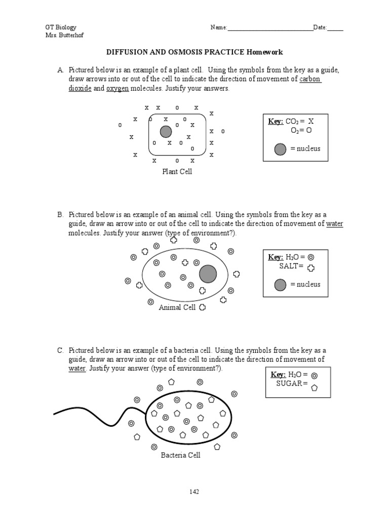 Diffusion and Osmosis Practice Homework: GT Biology Name: - Date: - Mrs ...
