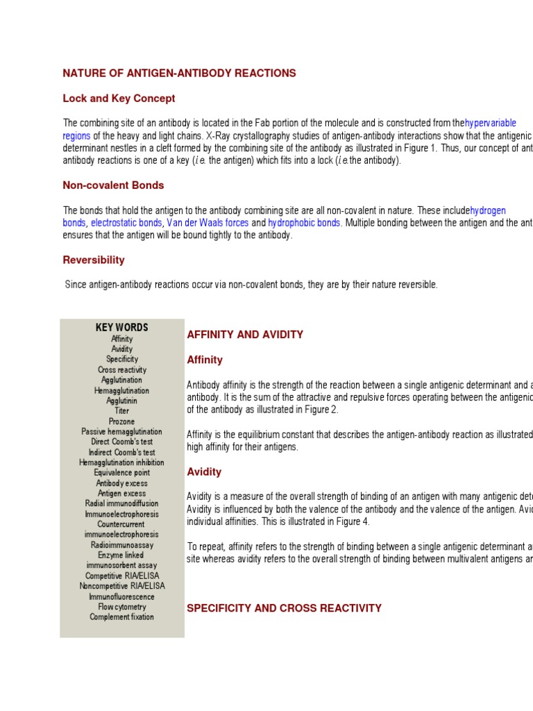 Understanding Antigen-Antibody Reactions: Key Concepts of Affinity ...