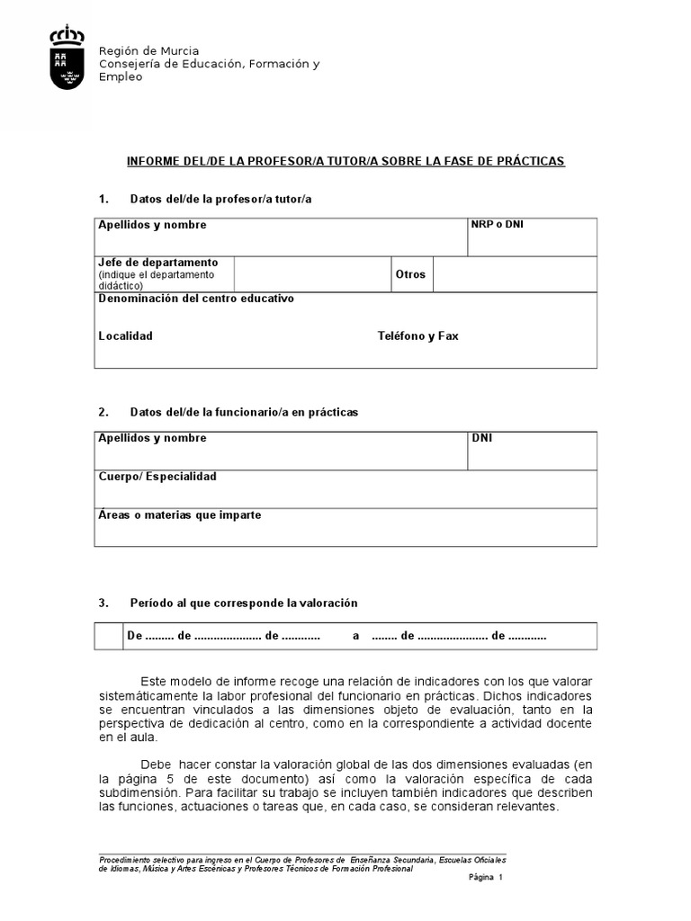 Informe Del Profesor Tutor | PDF