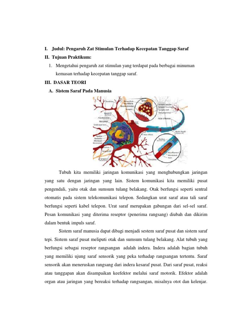 Laporan Fiswan Stimulan | PDF