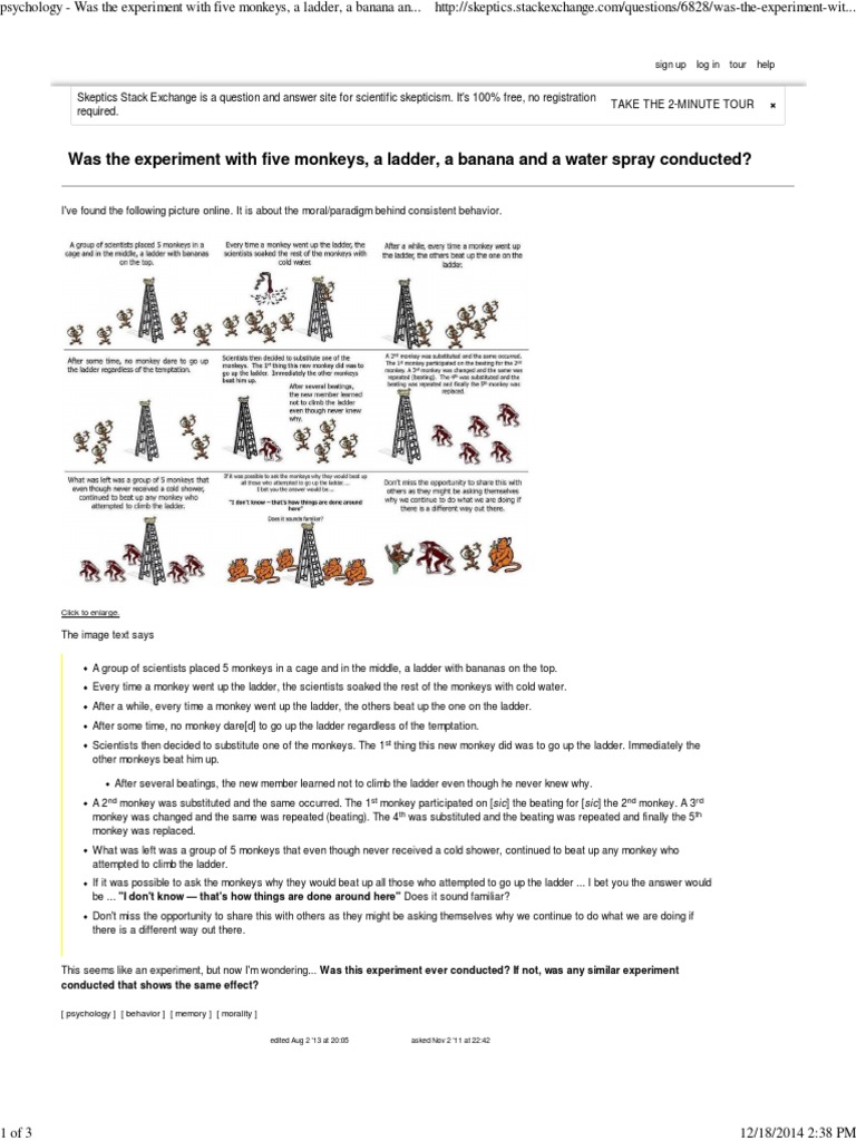 Psychology - Was The Experiment With Five Monkeys, A Ladder, A Banana ...