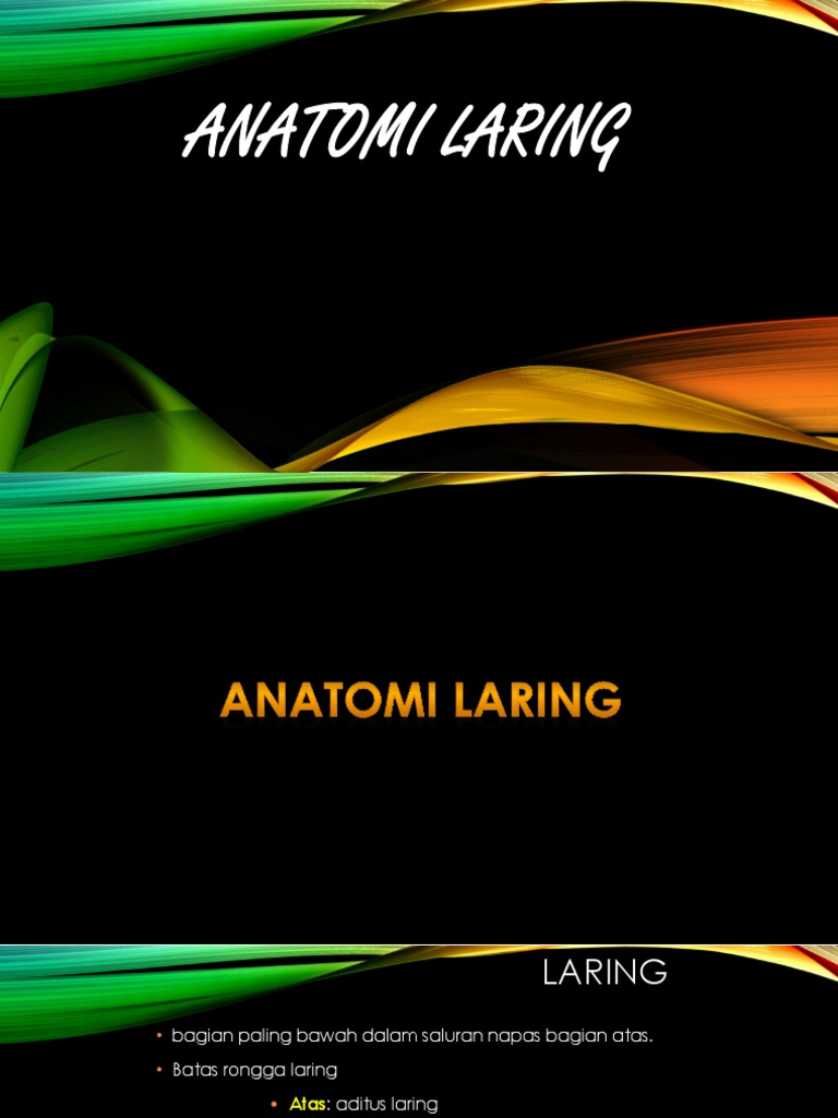 Anatomi Laring | PDF