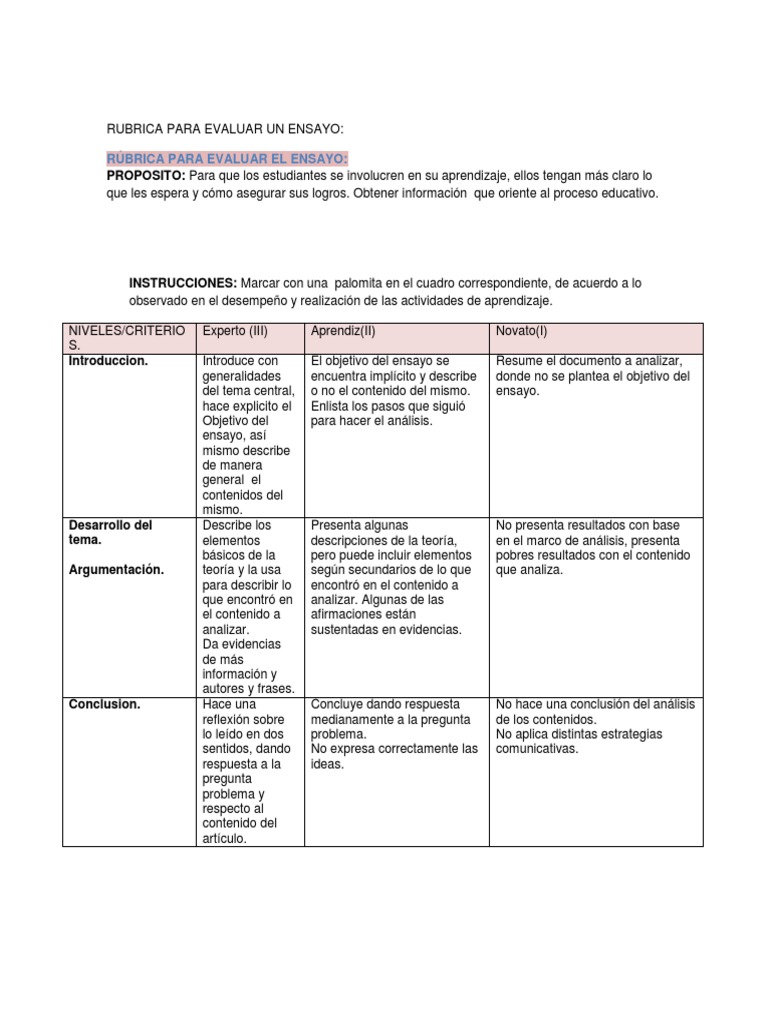 Rubrica para Evaluar Un Ensayo | PDF | Ensayos | Aprendizaje