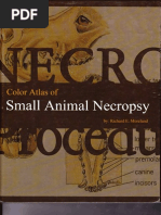 Necropsy Report | PDF | Stomach | Autopsy