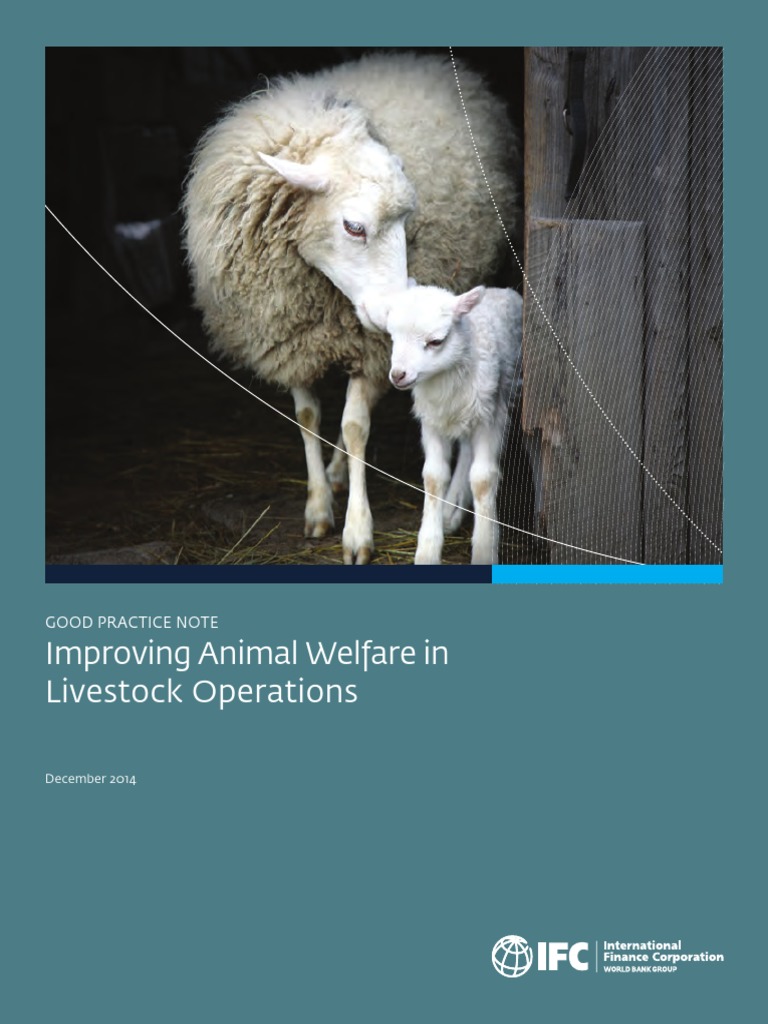 Good Practice Note: Improving Animal Welfare in Livestock Operations ...