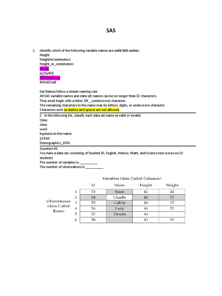 Sas Notes Basics Pdf Variable Computer Science Sas Software