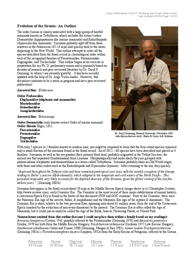 Evolution of The Sirenia: An Outline | PDF