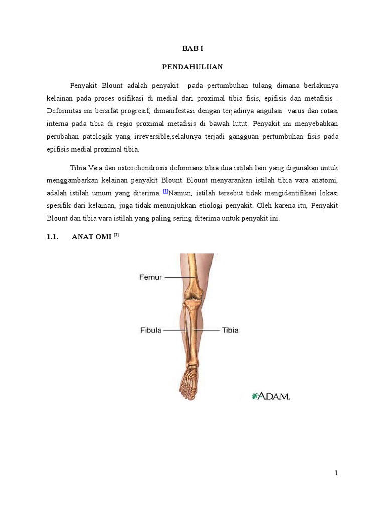 Blount Disease | PDF