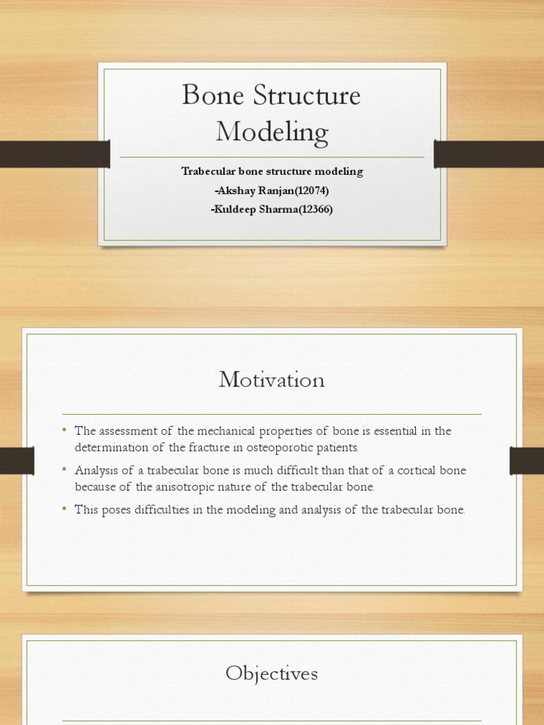 Trabecular Bone Structure Modeling Guide | PDF