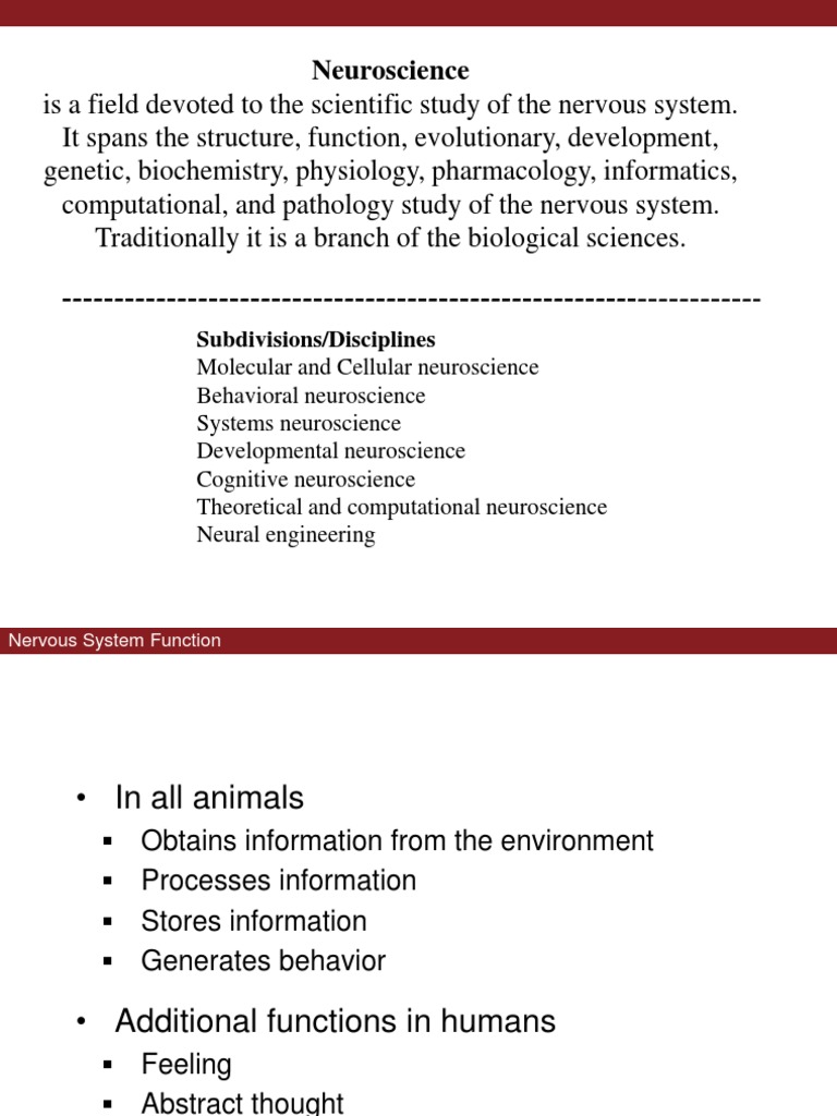 Overview of Neuroscience Fields | PDF | Neuron | Gene