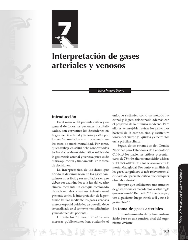 Interpretacion Gases Arteriales | PDF | Vena | Fisiología