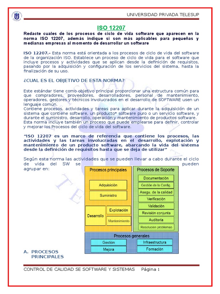 Iso 12207 | PDF | Proceso de desarrollo de software | Software