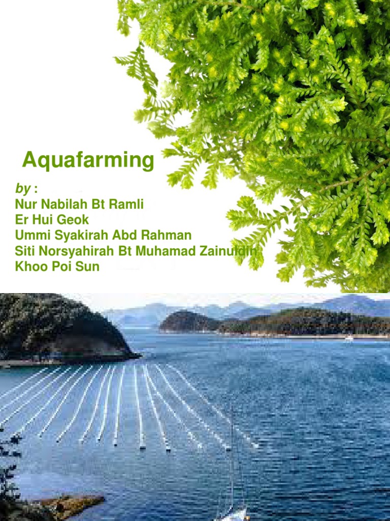 Aquafarming | Aquaculture | Edible Fish