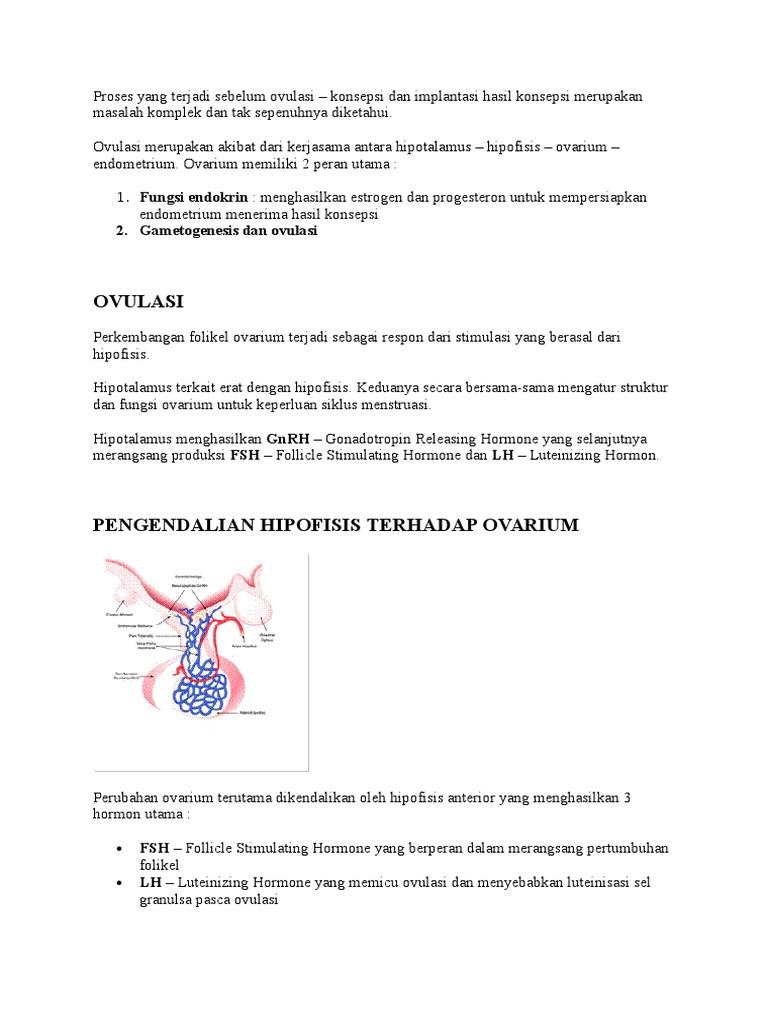 PROSES OVULASI 2.doc