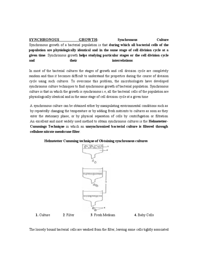 Synchronous Growth | PDF | Bacteria | Filtration