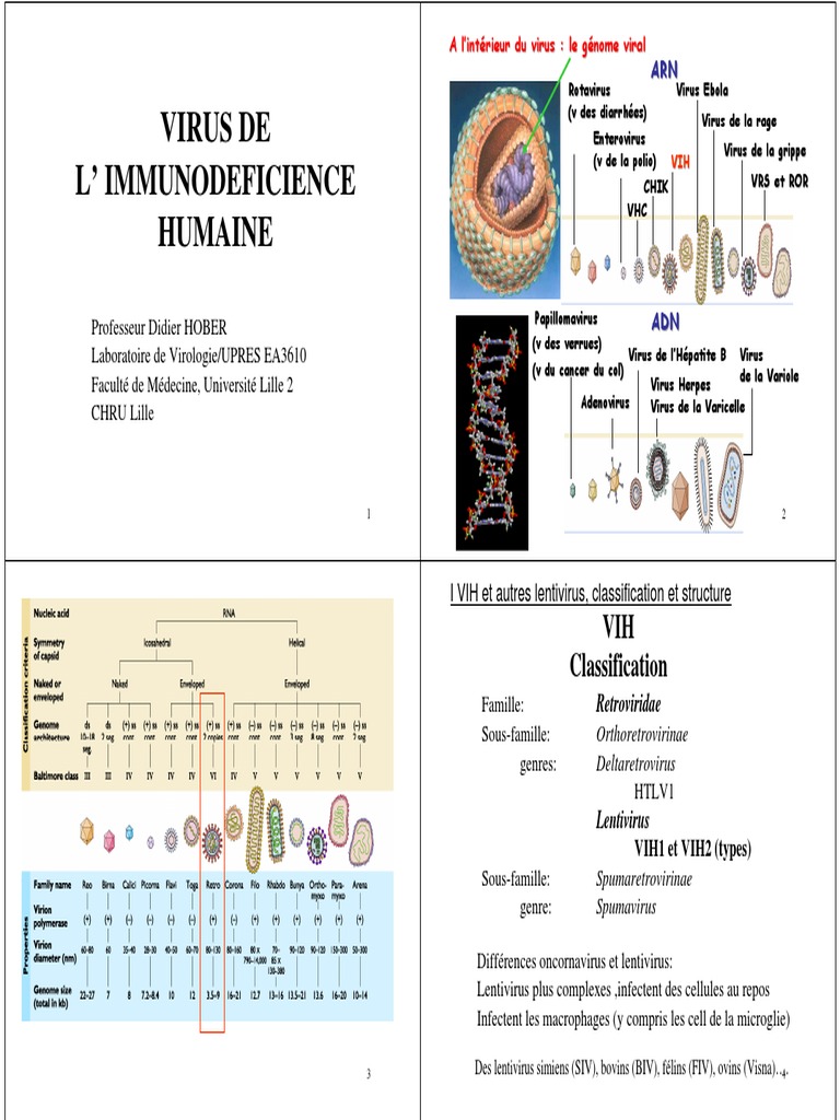 Structure et Transmission du VIH | PDF | Virus | SIDA