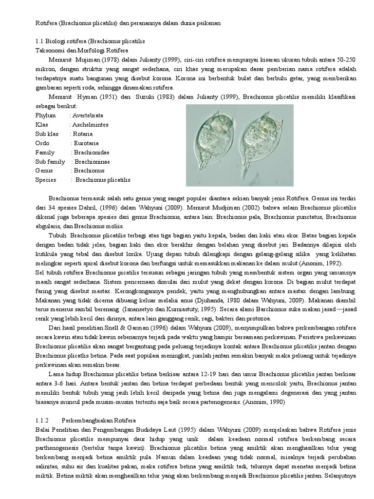 Rotifera | PDF