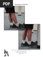 Alfredson Protocol - Achille's Tendonitis | PDF | Pain | Clinical Medicine