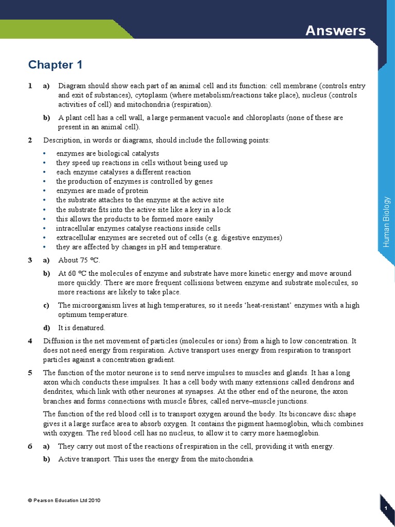 Edexcel IGCSE Human Biology Answers | PDF | Ploidy | Meiosis