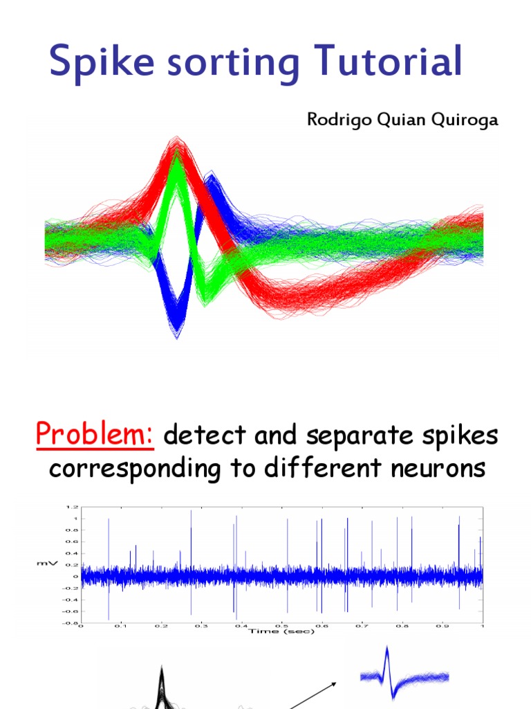 Spike Sorting Tutorial | Principal Component Analysis | Cluster Analysis