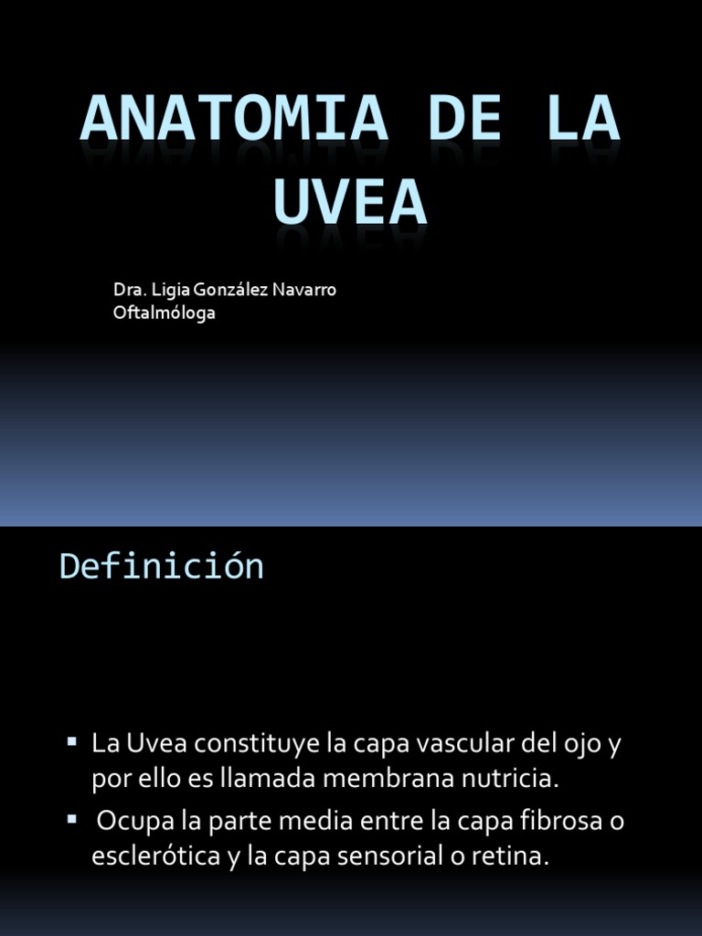 Anatomía de la Uvea Ocular | PDF | Epitelio | Sistema visual
