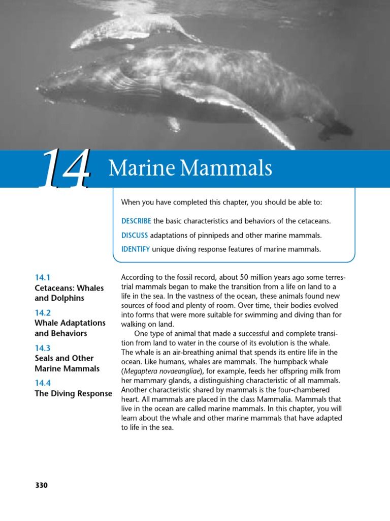 Marine Mammels | PDF | Cetacea | Pinniped
