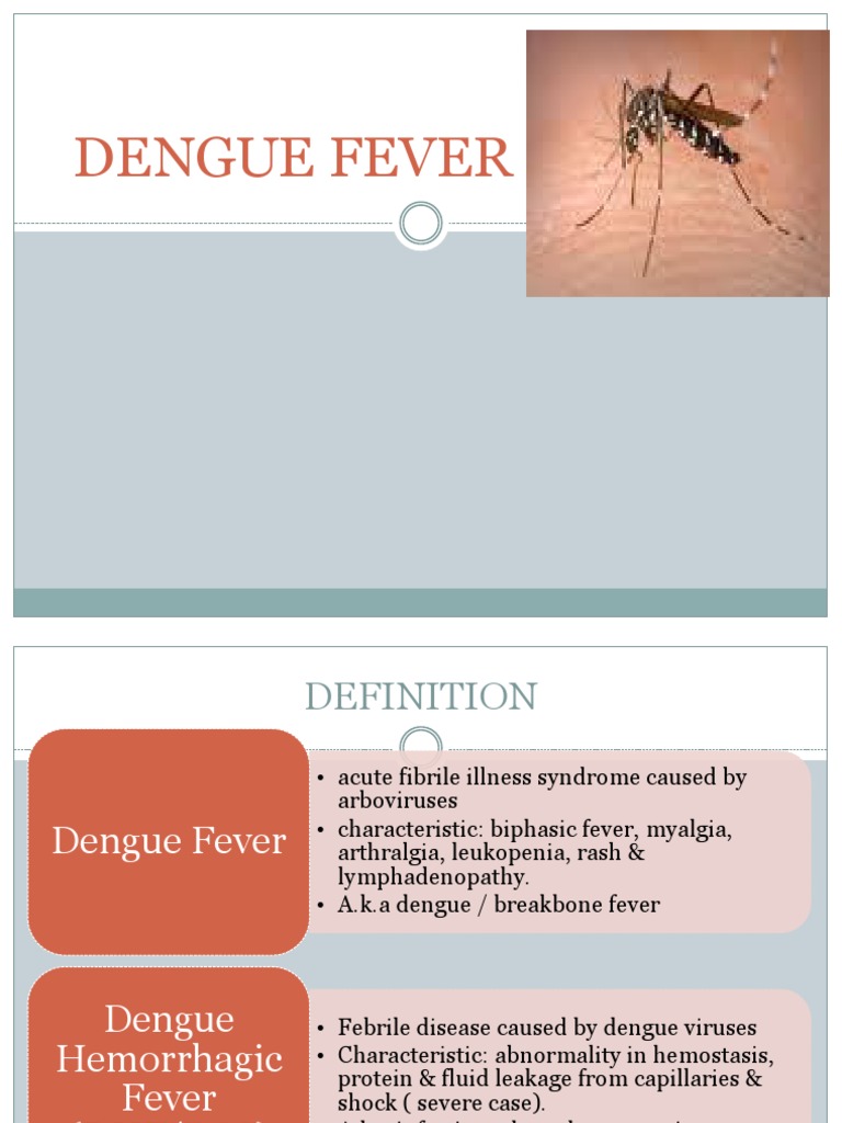 Dengue Hemorrhagic Fever Rash