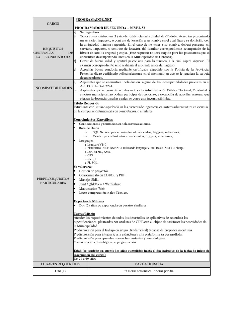 Perfil Programador | PDF | Informática | Ingeniería de software