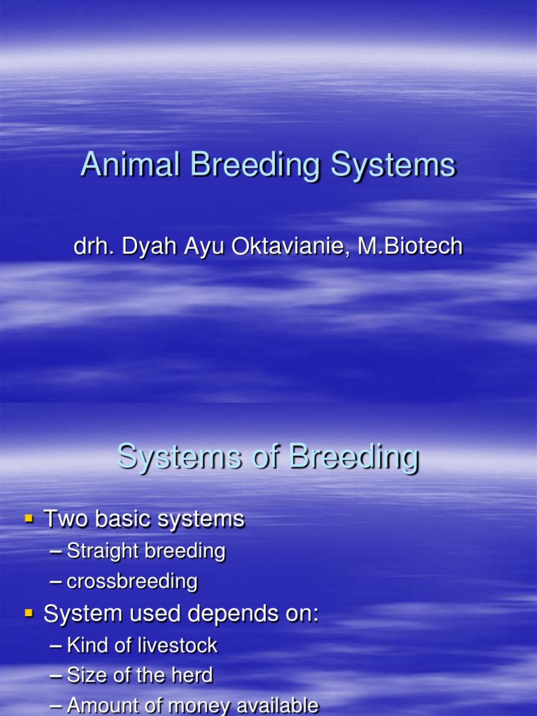 Animal Breeding Systems | PDF | Selective Breeding | Inbreeding