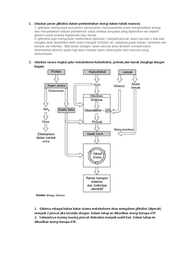 Biokimia | PDF | Kesehatan Holistik